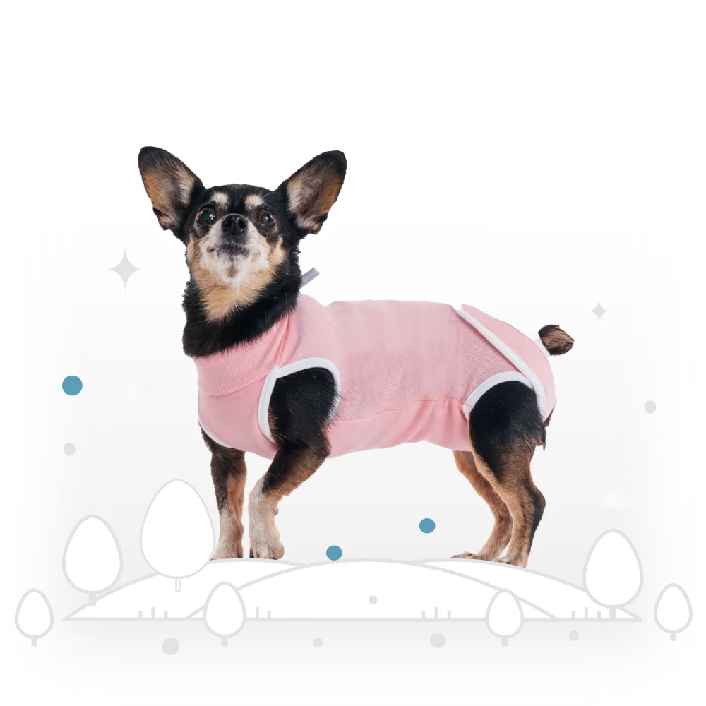 PetVet Wear ® Dog 1 Suits