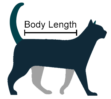 PetVet Wear ® Cat Suits