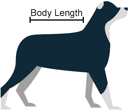 PetVet Wear ® Dog 2 Suits